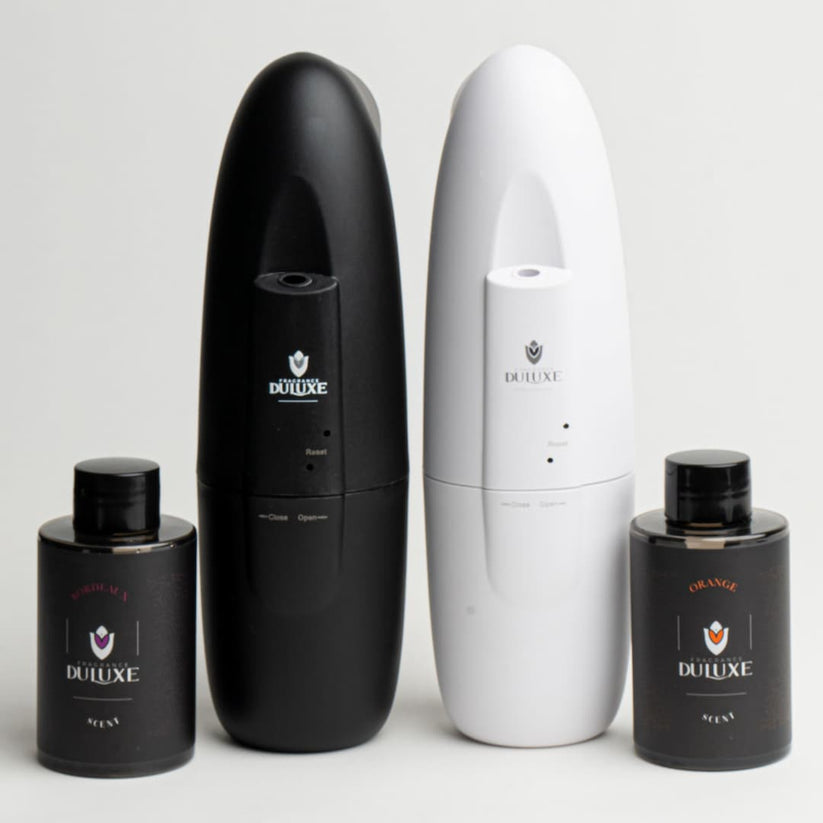 Combo Deluxe 2x2 Diffuser FDL460 – Fragrance Duluxe